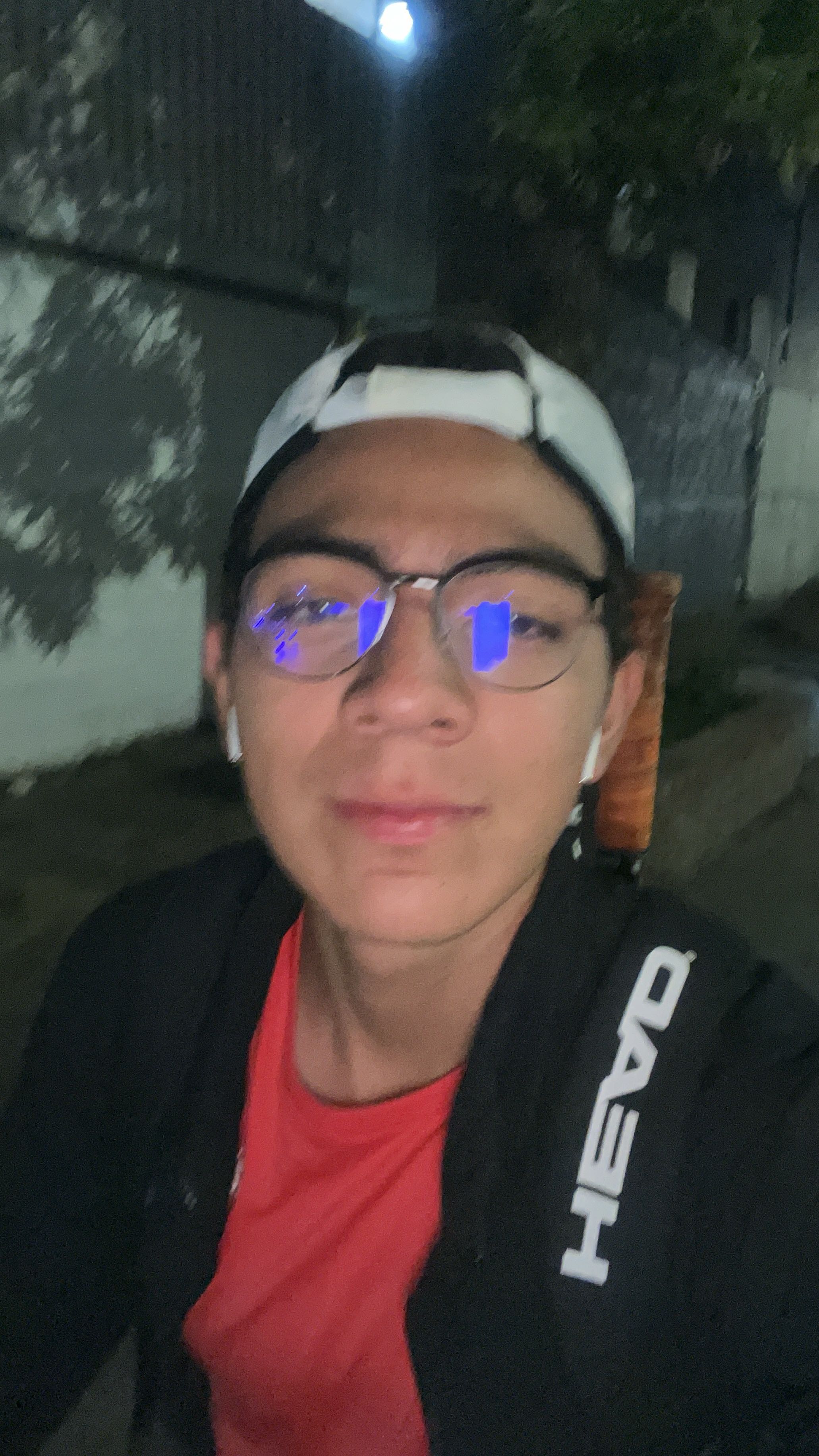 Diego Adrian Estrada Cruz