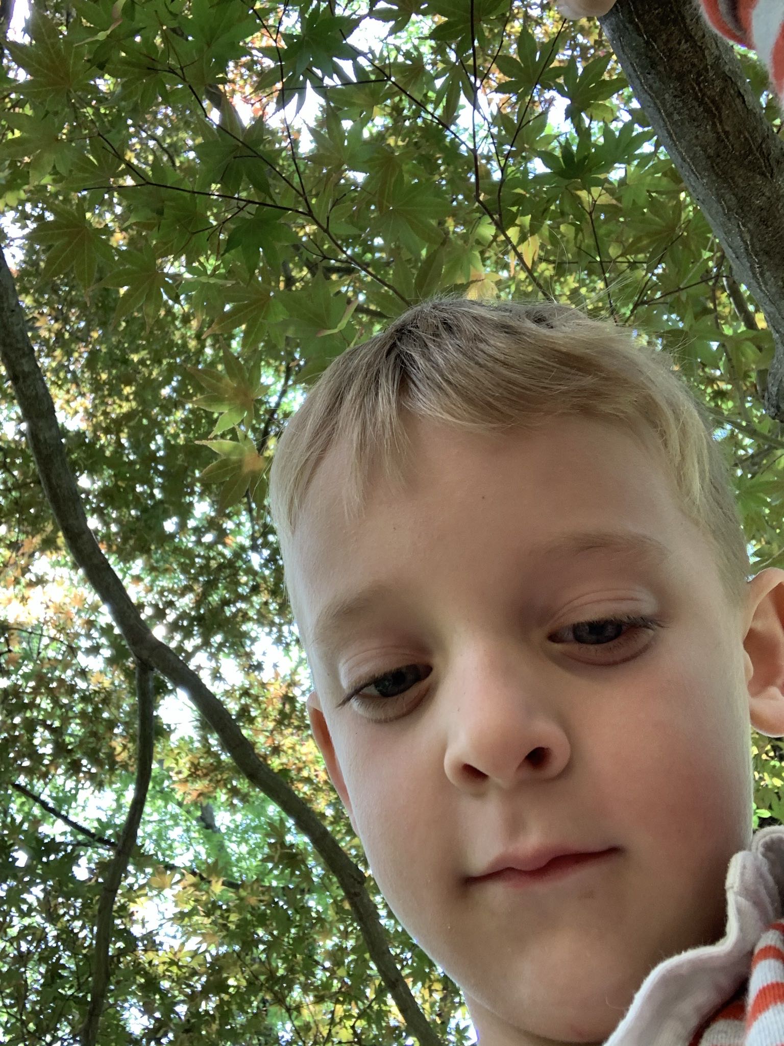 Bennett Broermann